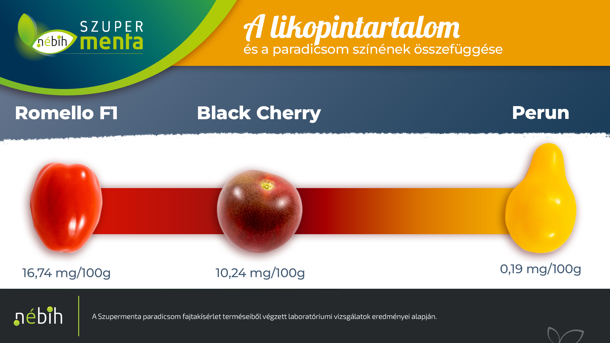 Mitől piros a paradicsom? – cseresznye- és koktélparadicsomokkal ...
